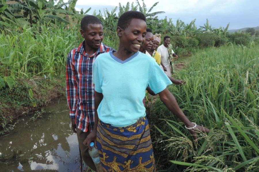 Rice Farming Program Combating Malnutrition in Rwanda | PIH Canada