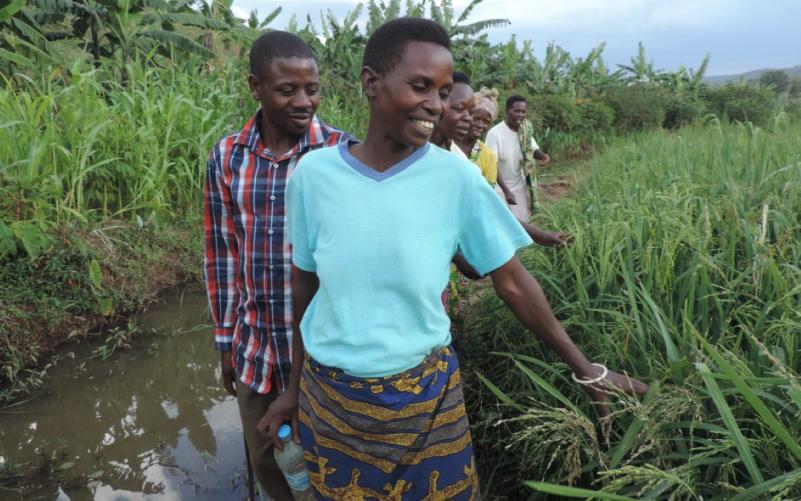 Rice Farming Program Combating Malnutrition in Rwanda | PIH Partners In ...