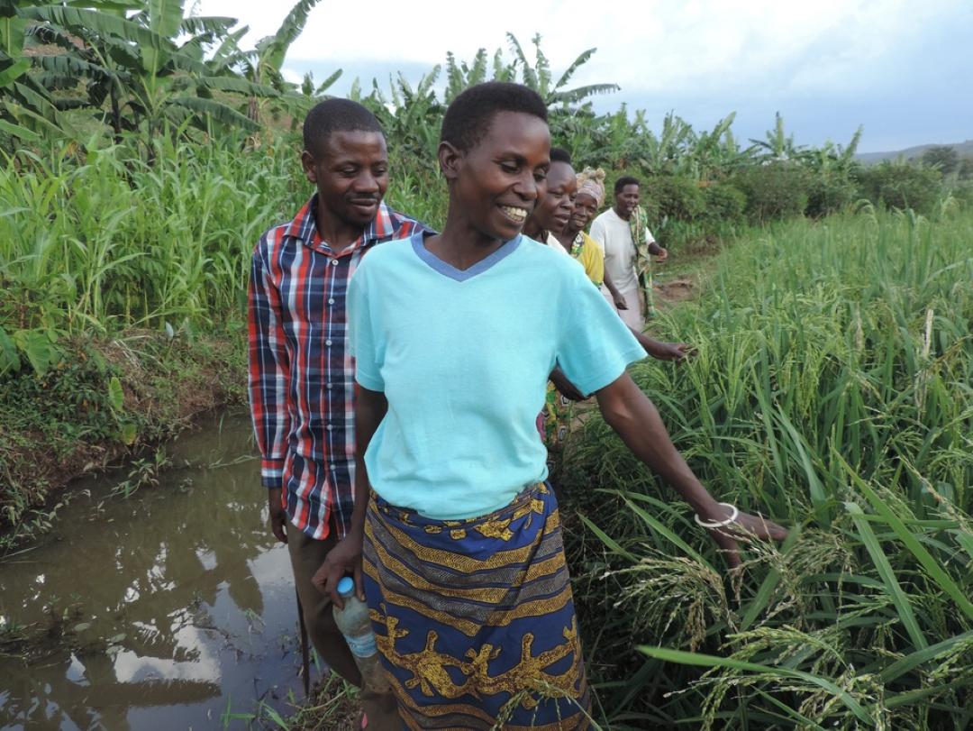Rice Farming Program Combating Malnutrition in Rwanda | PIH Partners In ...